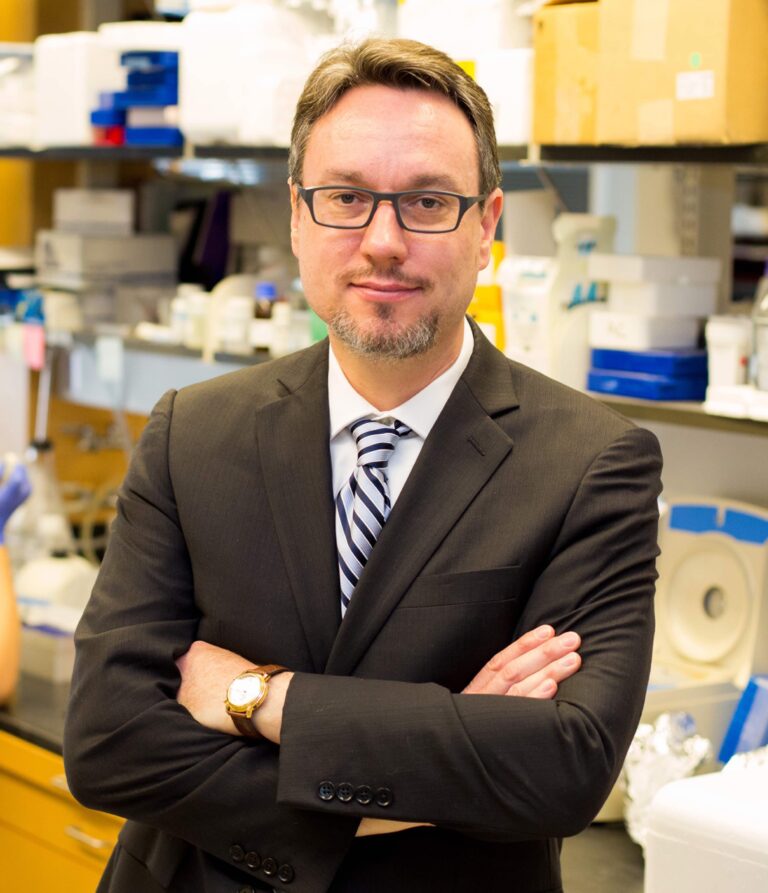Stegh named Brain Tumor Center research director - Siteman Cancer Center